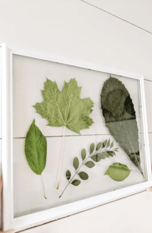 30 Cute & Cheap Dollar Tree DIY Wall Art Décor Ideas - I Luve It